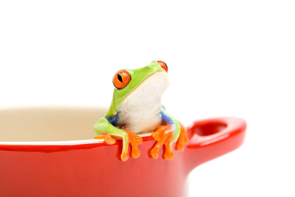 Responding to slow onset disasters: the boiling frog syndrome ...